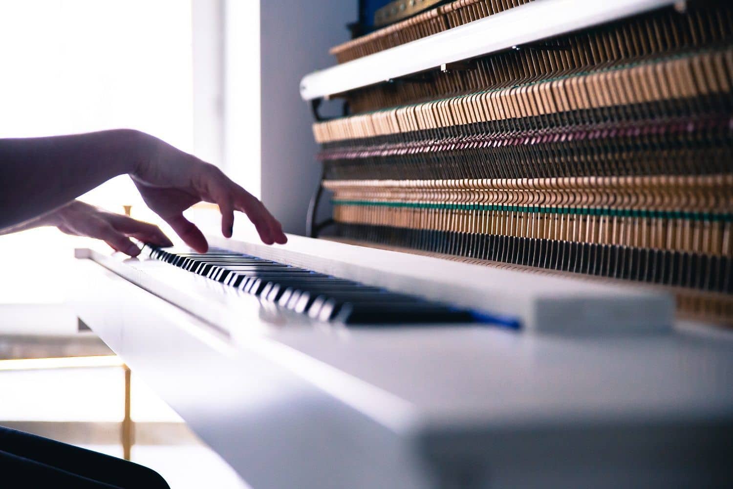 Merriam Music - All Piano Models