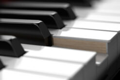 Roland Digital Piano Actions | PHA-4, PHA-50 & Hybrid Grand