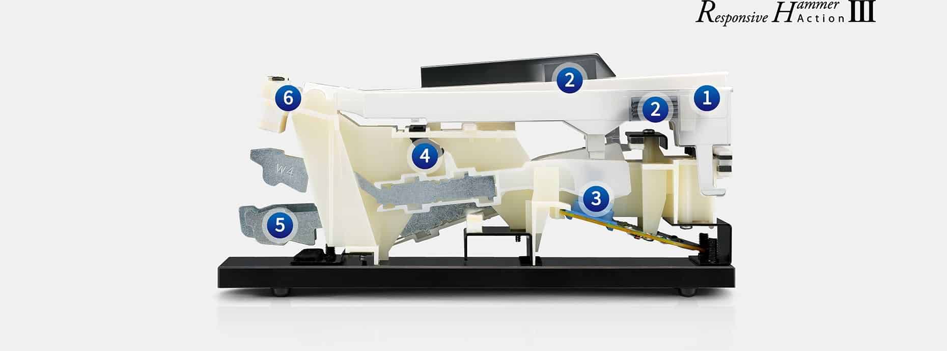 Kawai CN201 | Digital Piano Review | Kawai CN29 Upgrade