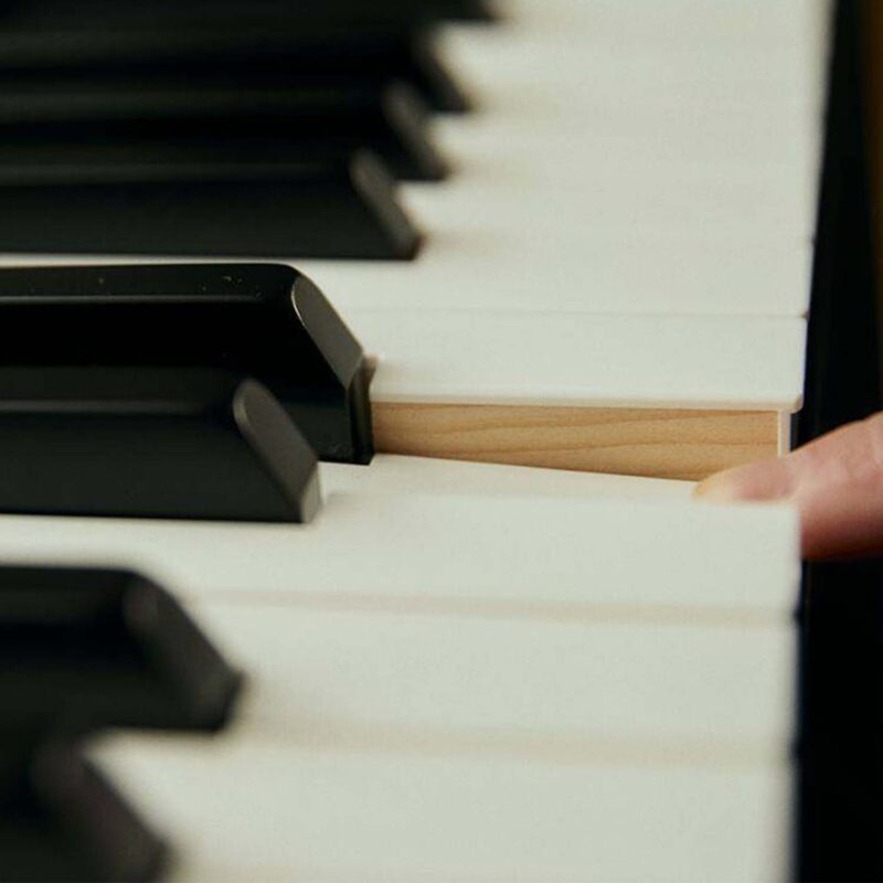 Casio Privia PX-S5000 Digital Piano: Step Up From PX-S3100
