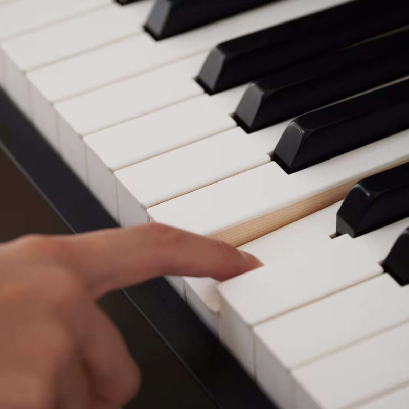 Casio AP-750 Premium Digital Piano - Merriam Music